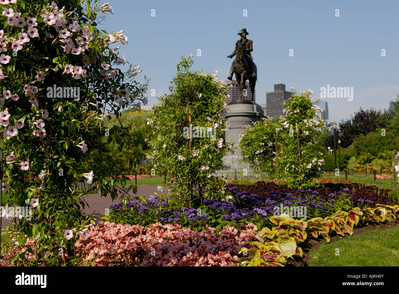The public gardens boston hi-res stock photography and images - Alamy