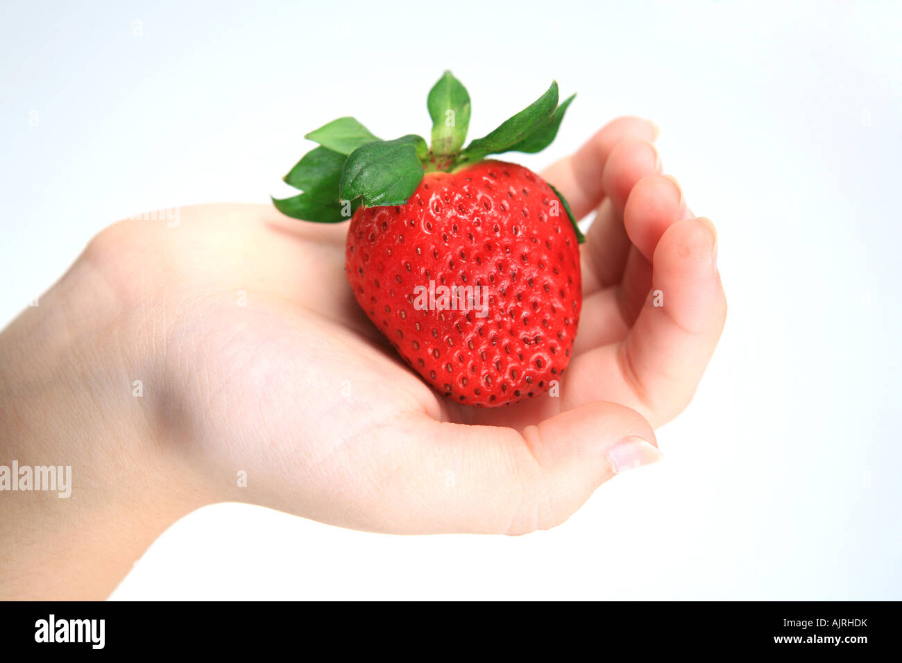 Large Ripe Strawberry in Hand isolated on white background Stock Photo ...