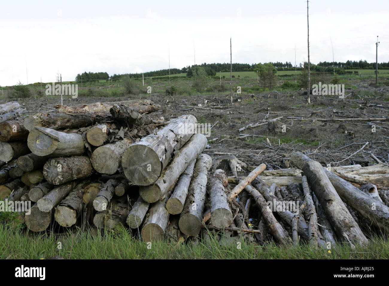 Logging area hi-res stock photography and images - Alamy
