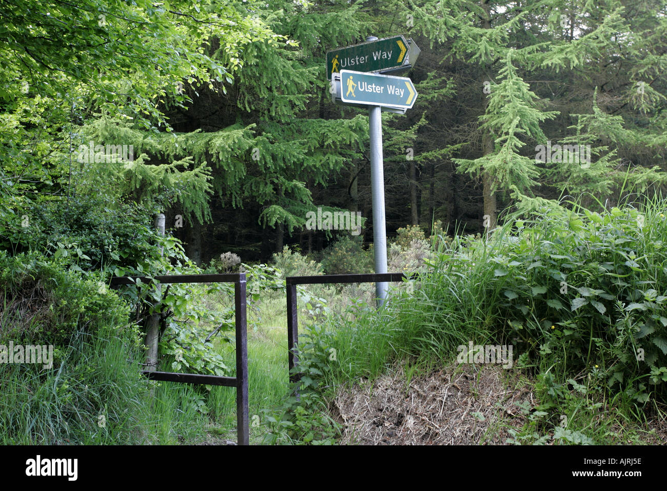Ulster Way sign and woodland stile entrance county antrim Northern ...