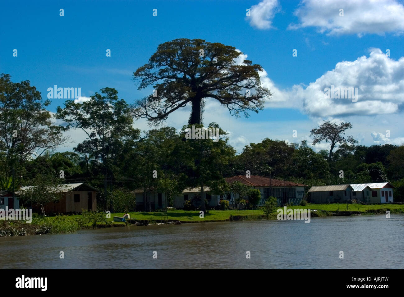 Riverside village near Tefe Amazonas Brazil Stock Photo - Alamy
