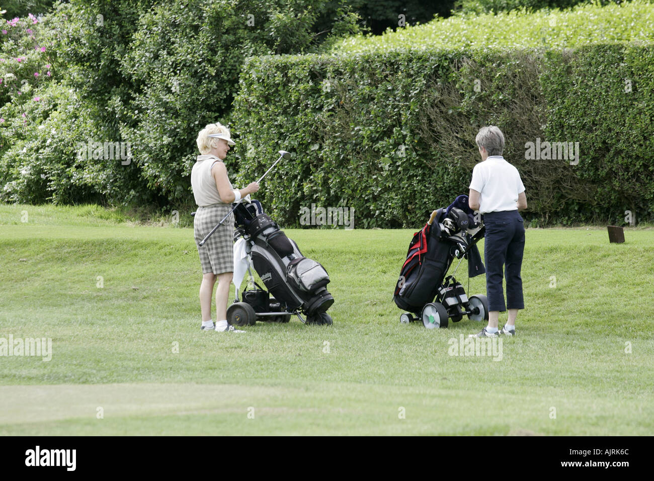 Golfers tee hi-res stock photography and images - Alamy