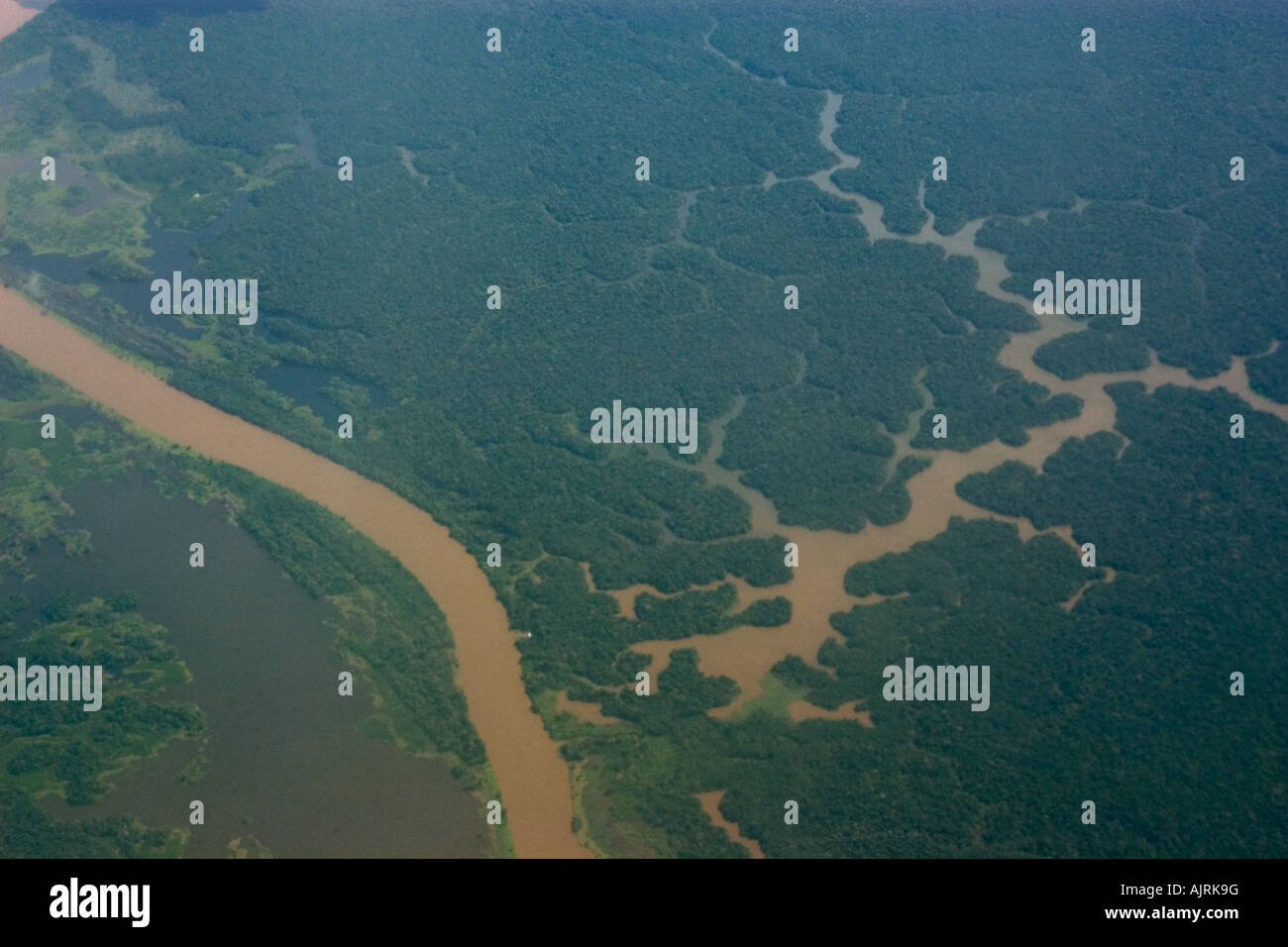 Flooded tropical rain forest aerial view Amazonas Brazil Stock Photo ...