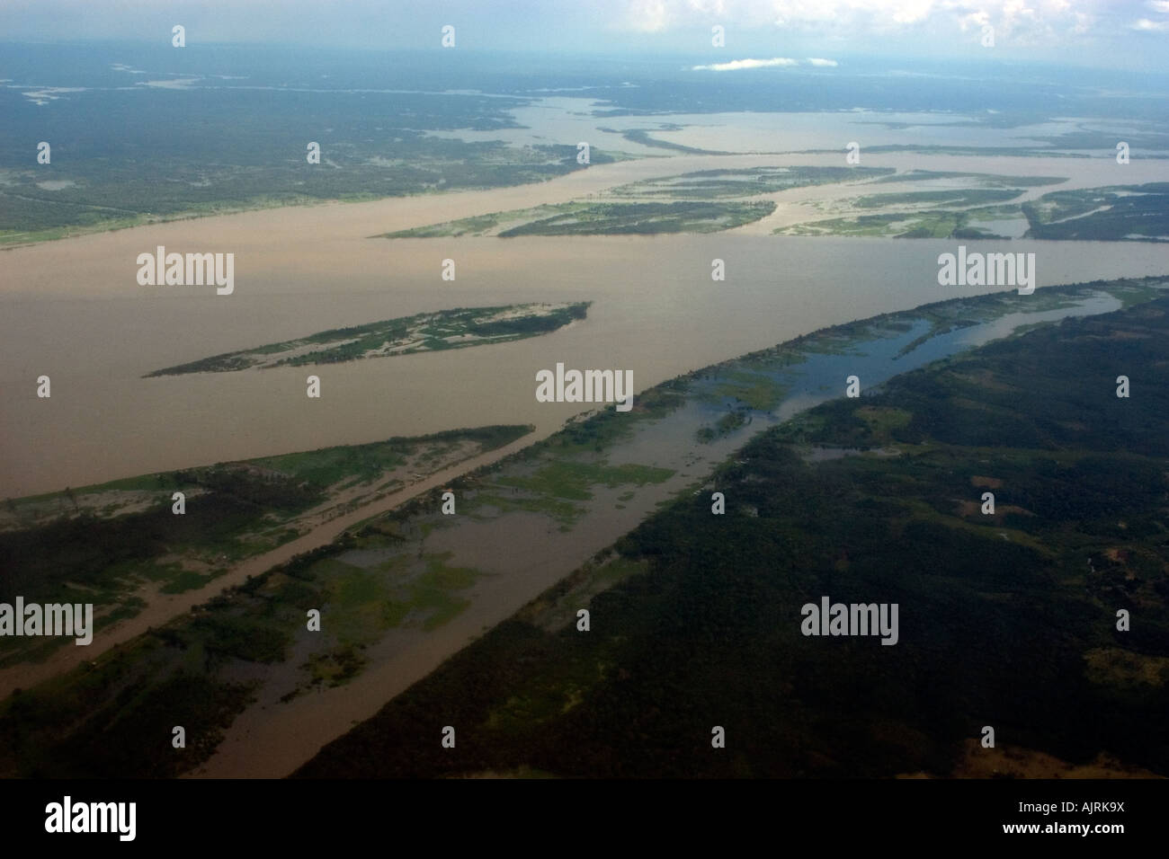 Flooded tropical rain forest aerial view Amazonas Brazil Stock Photo ...
