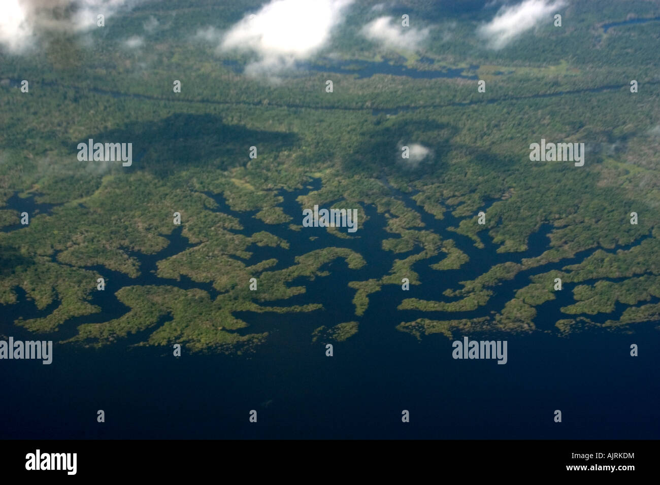 Flooded tropical rain forest aerial view Amazonas Brazil Stock Photo ...