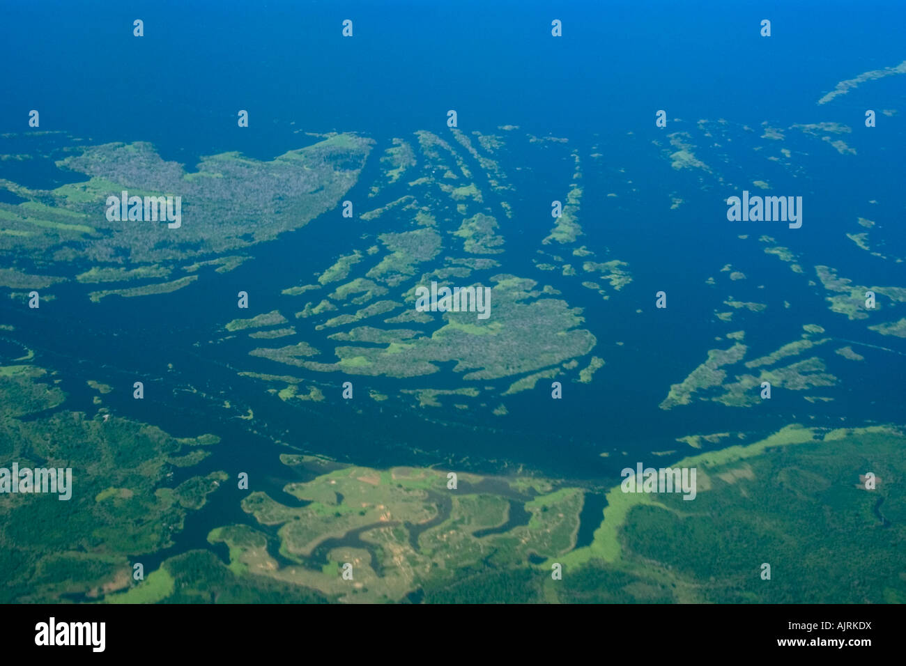 Flooded tropical rain forest aerial view Amazonas Brazil Stock Photo ...