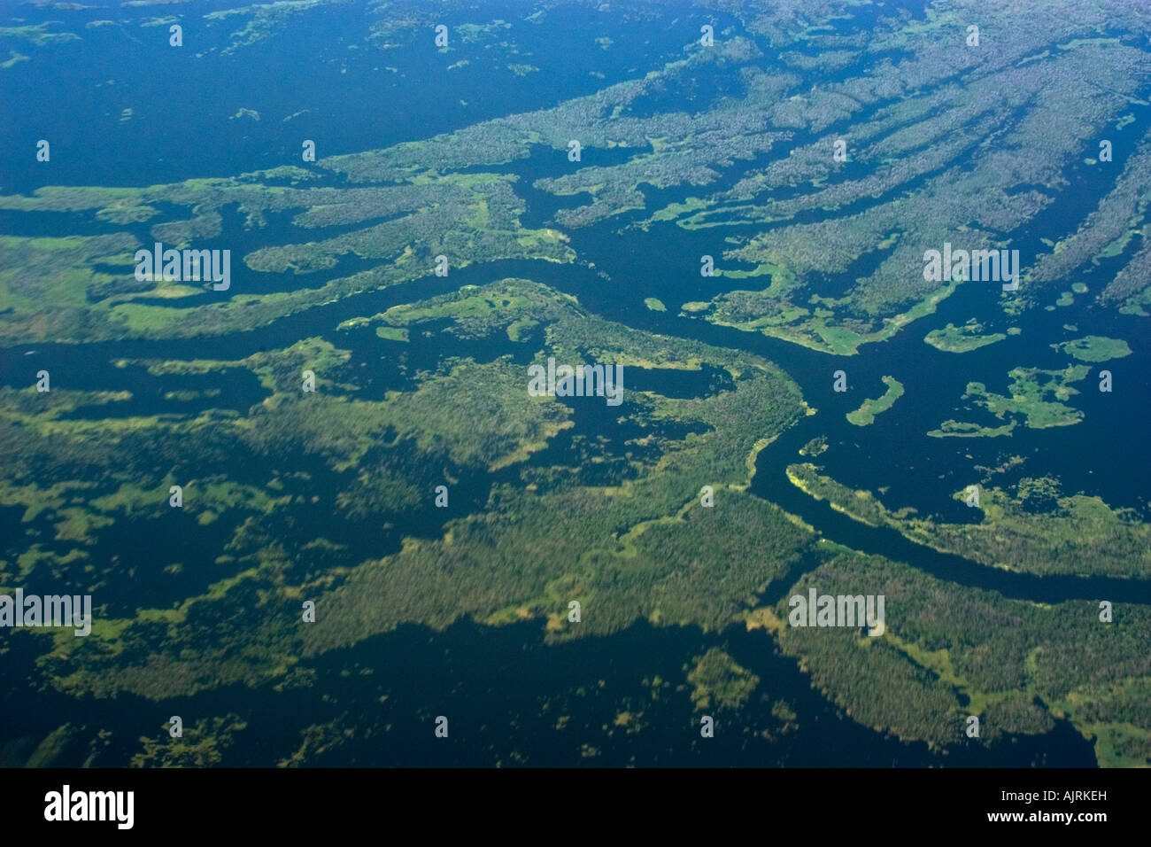 Flooded tropical rain forest aerial view Amazonas Brazil Stock Photo ...