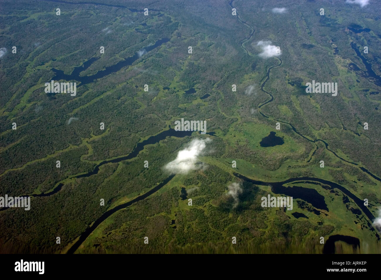Flooded tropical rain forest aerial view Amazonas Brazil Stock Photo ...