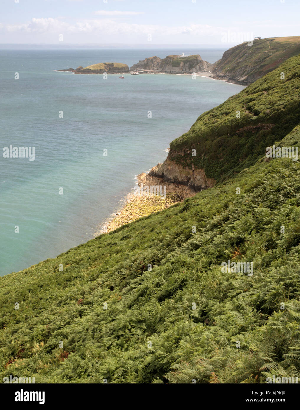 Bracken beach hi-res stock photography and images - Alamy