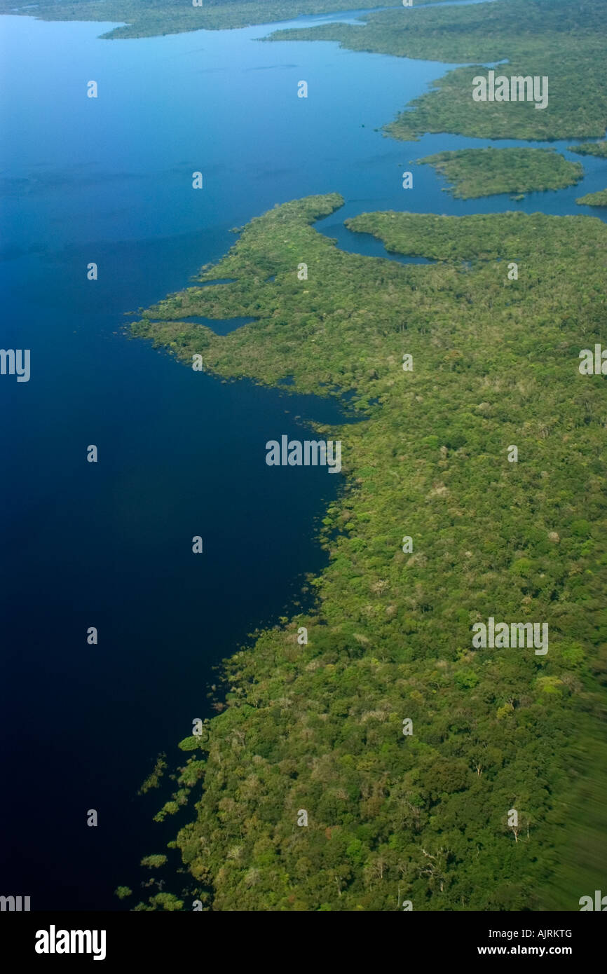 Flooded tropical rain forest aerial view Amazonas Brazil Stock Photo ...