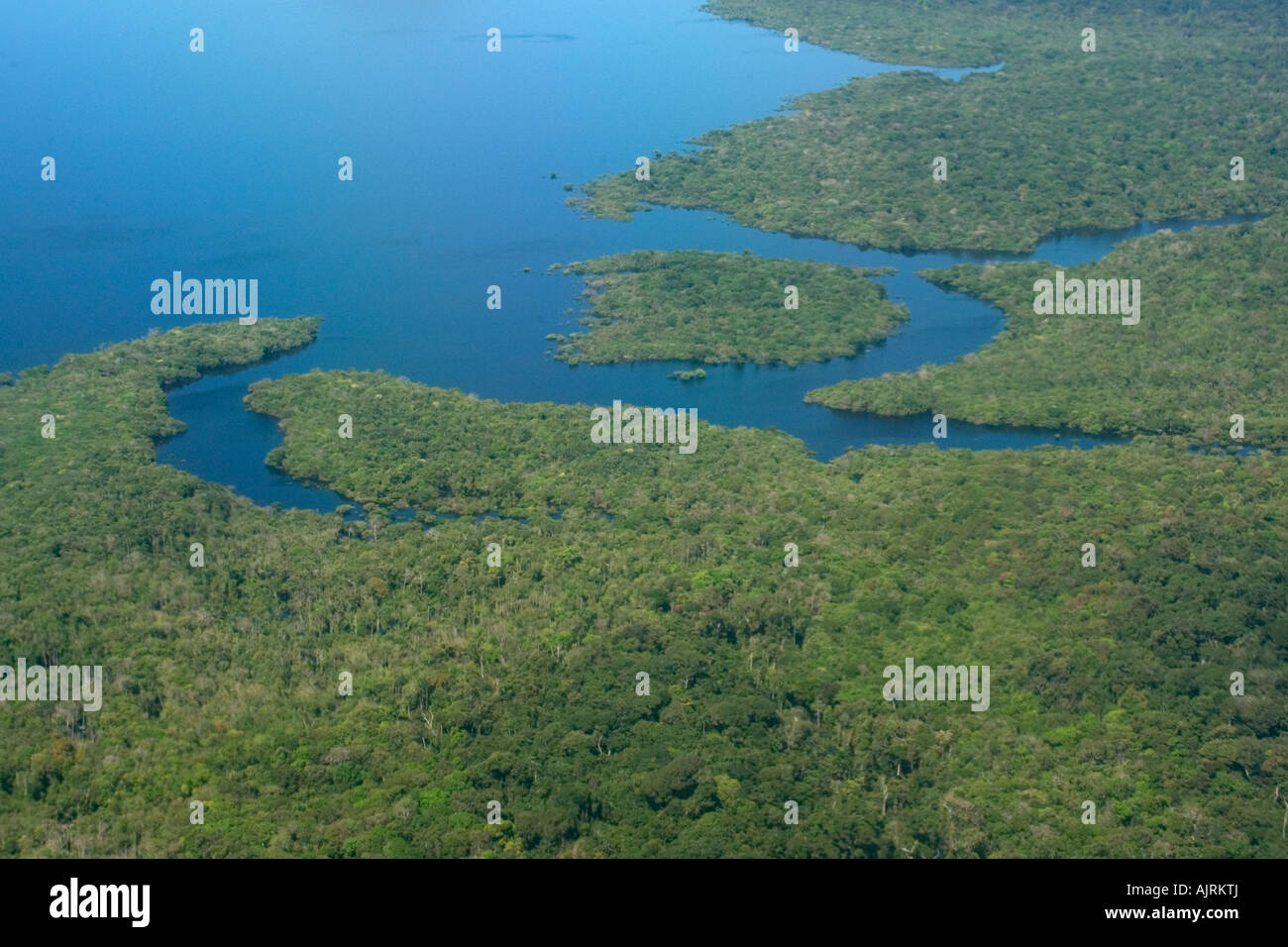 Flooded tropical rain forest aerial view Amazonas Brazil Stock Photo ...