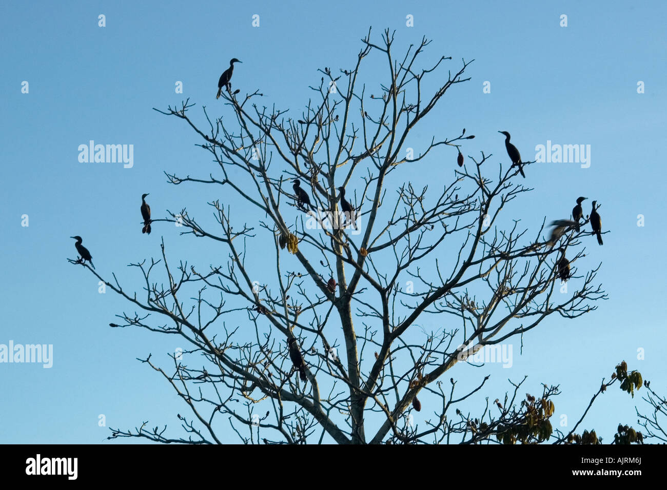 Dried basin hi-res stock photography and images - Alamy