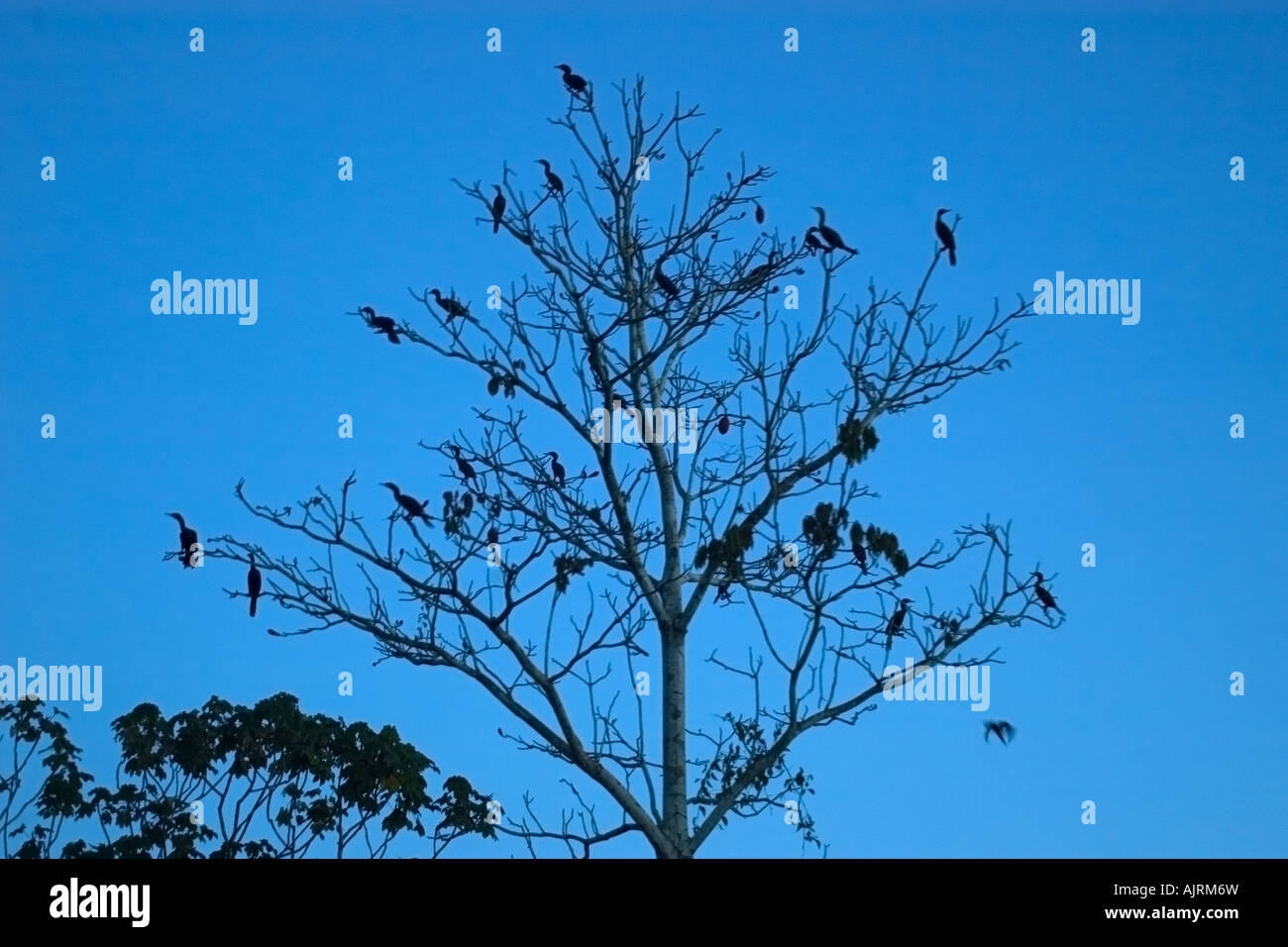 Dried basin hi-res stock photography and images - Alamy