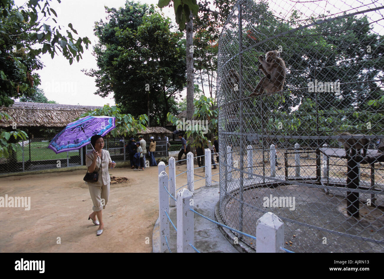 Macaques Macaca sp in a small cage at a private zoo attached to the Cu ...