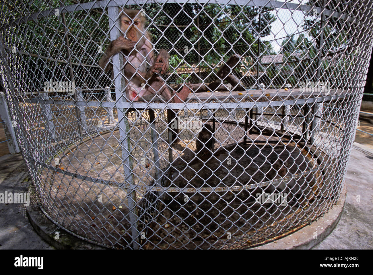 Zoo neglect hi-res stock photography and images - Alamy