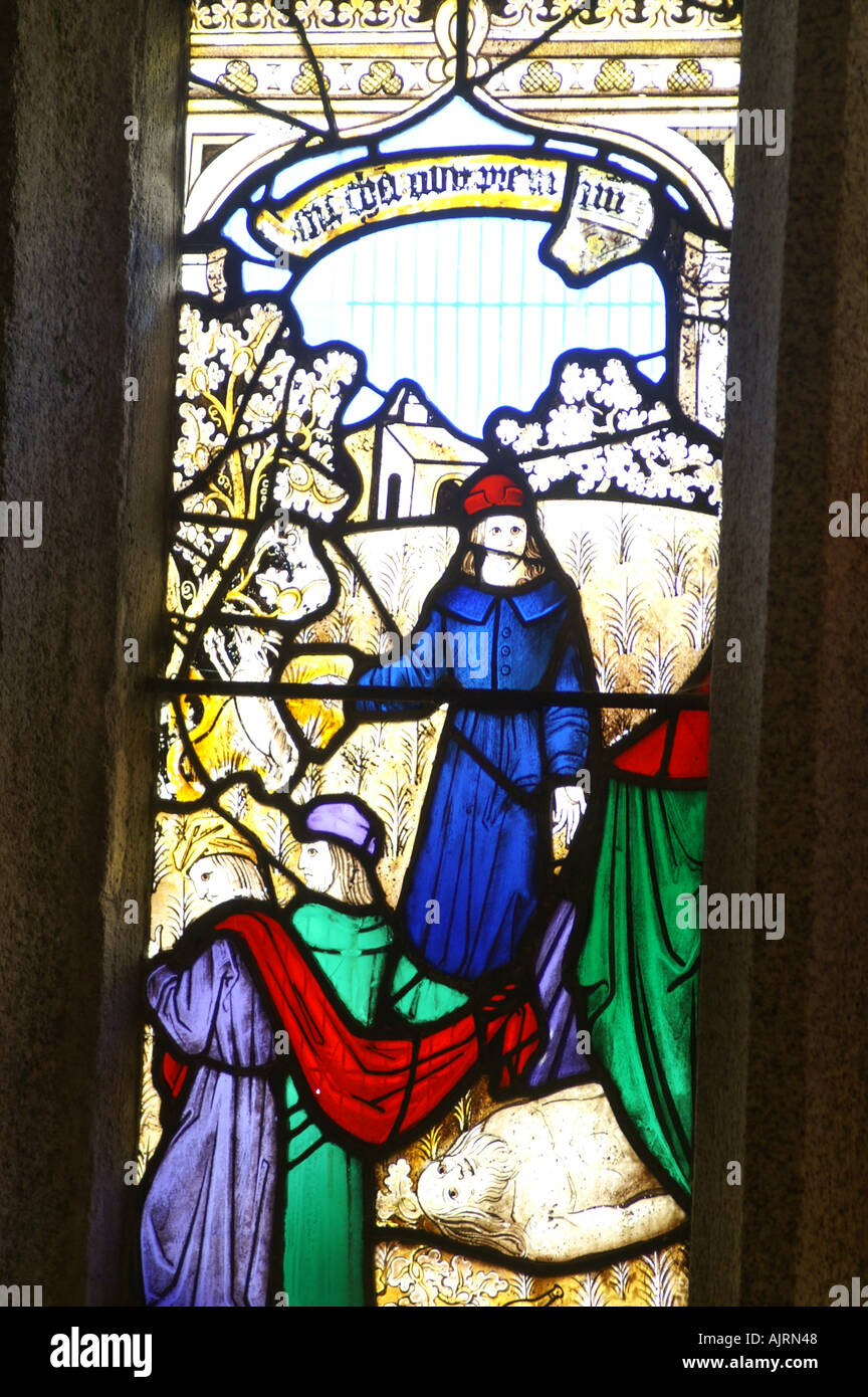 Medieval stained glass St Neot s parish church Cornwall England Stock ...