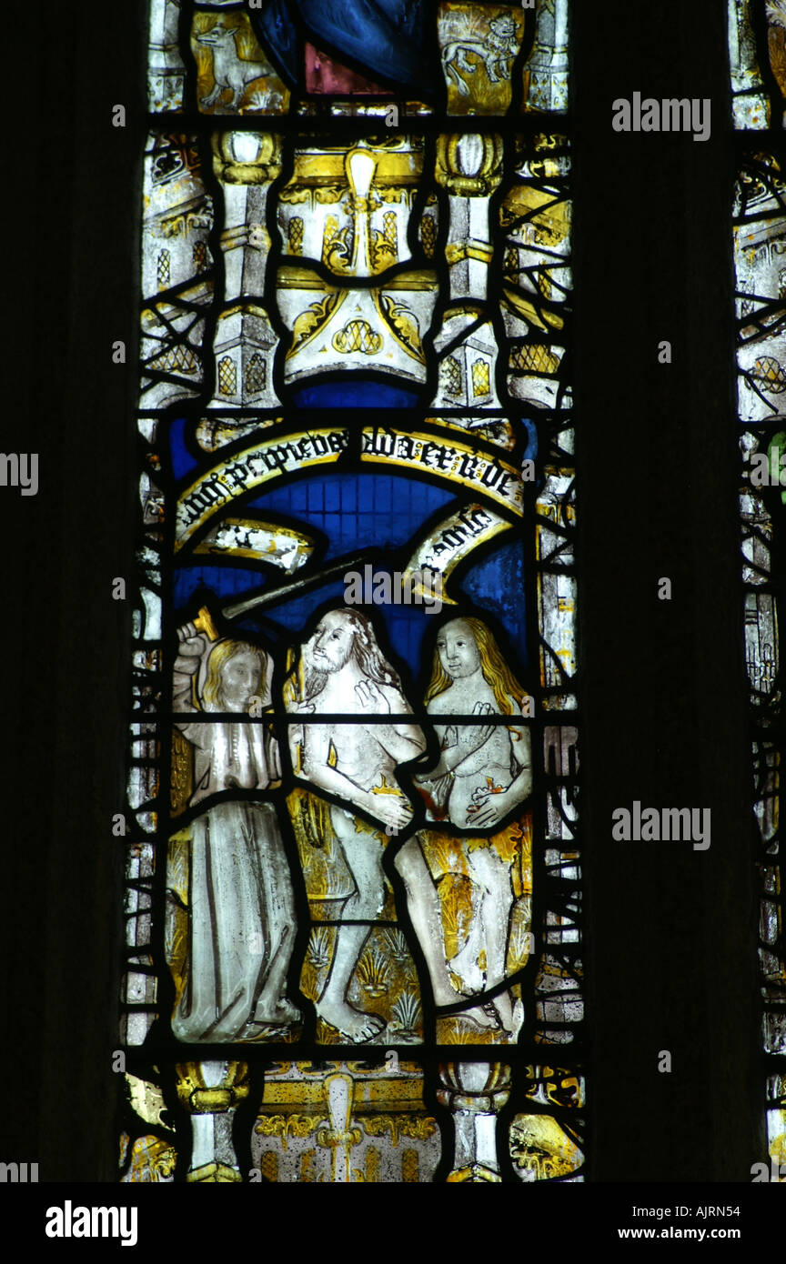 Medieval stained glass St Neot s parish church Cornwall England Stock ...