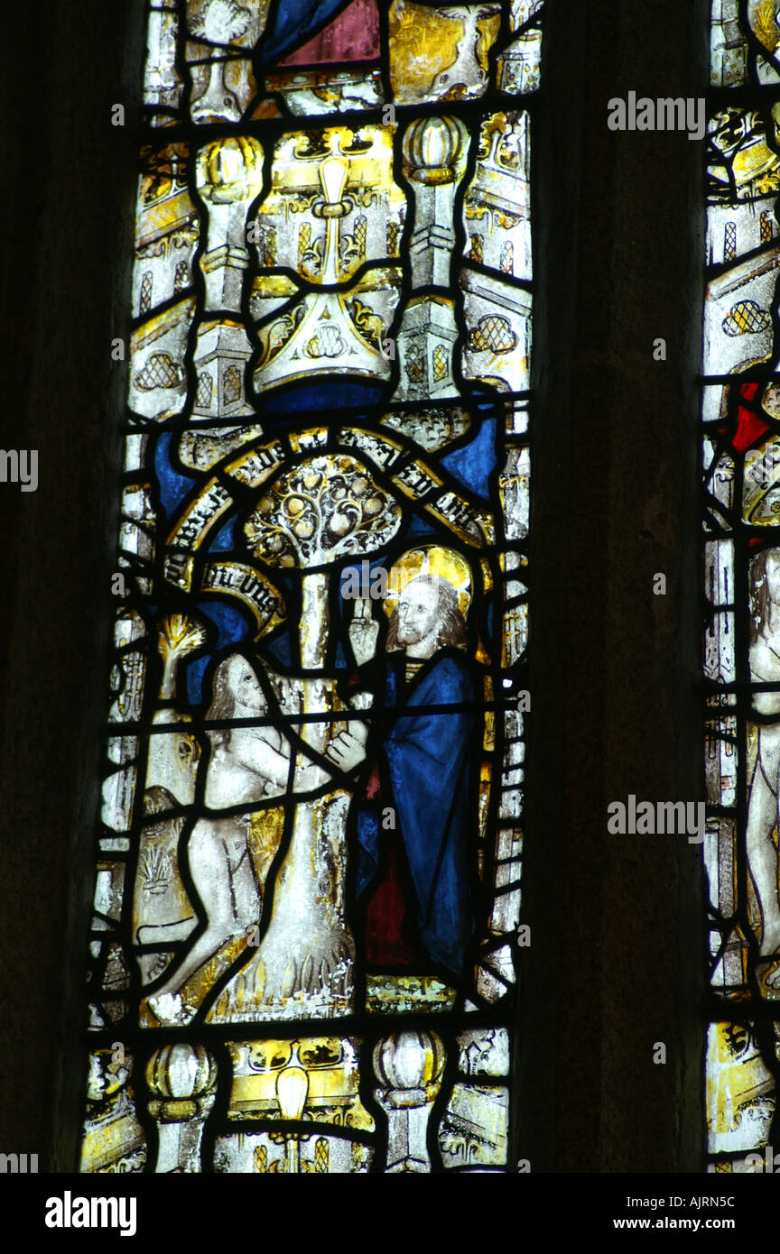 Medieval stained glass St Neot s parish church Cornwall England Stock ...