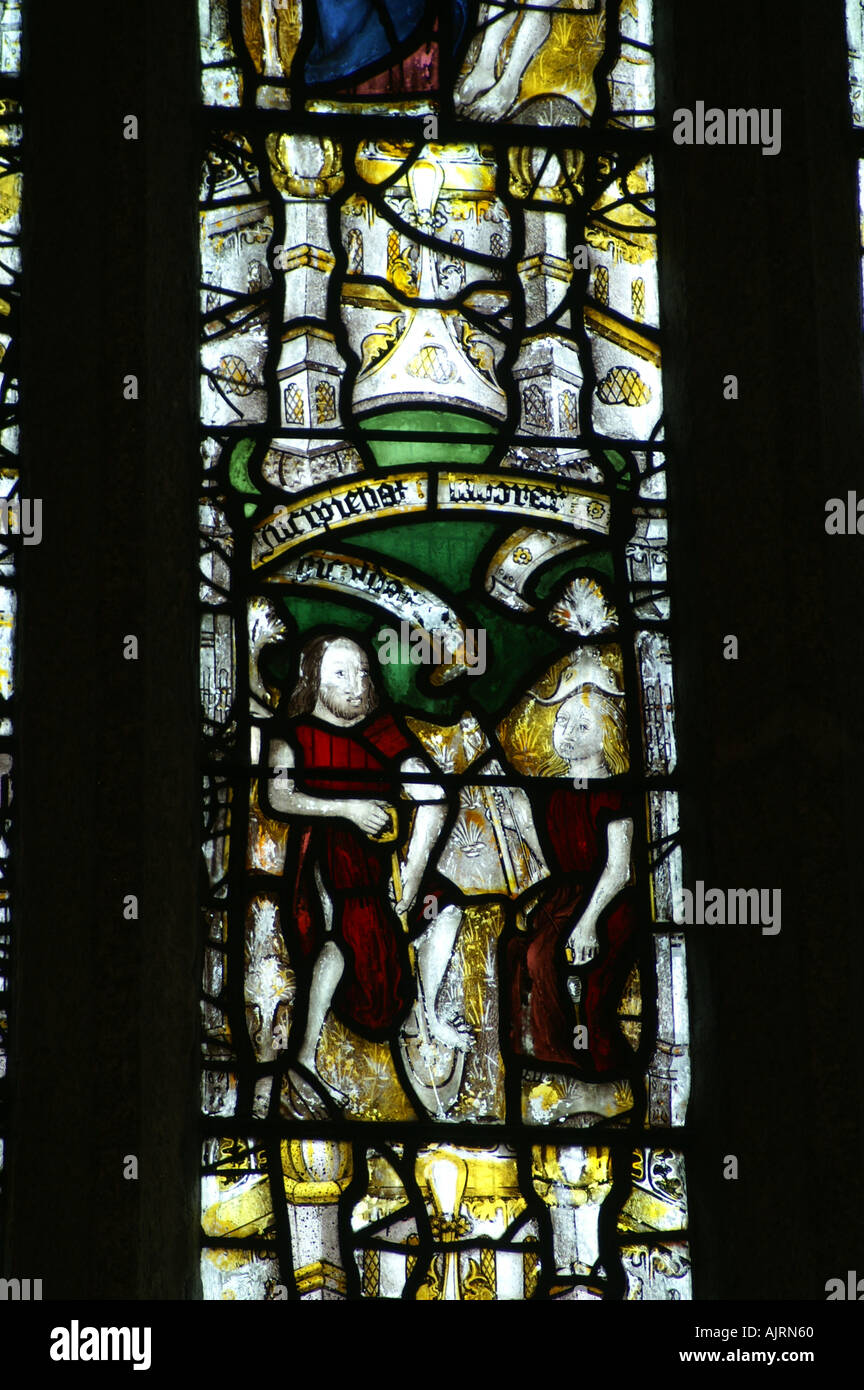 Medieval stained glass St Neot s parish church Cornwall England Stock ...