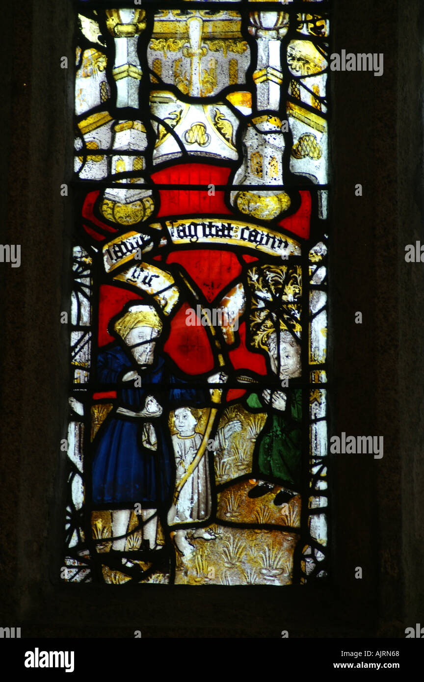 Medieval stained glass St Neot s parish church Cornwall England Stock ...