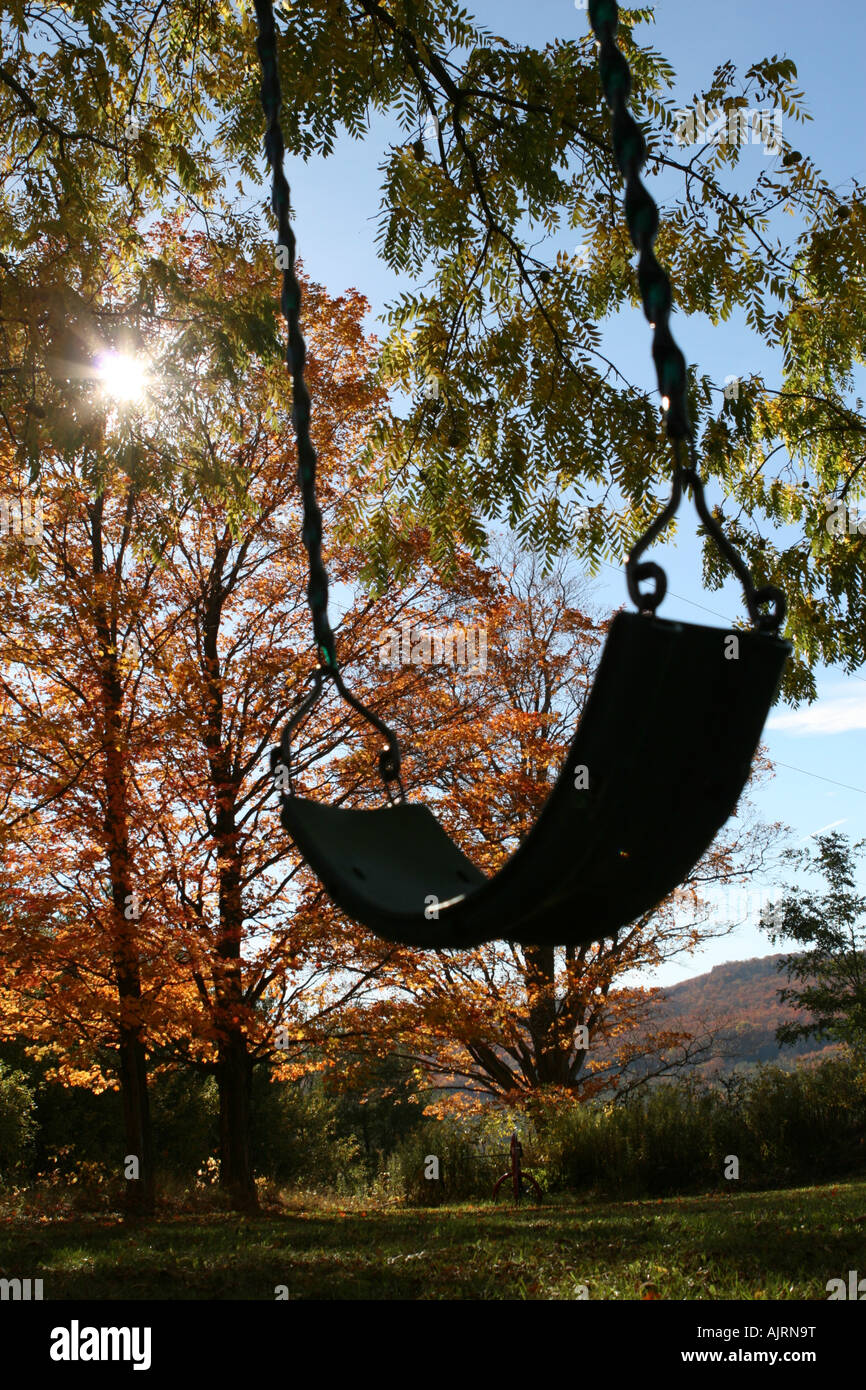 swing attached to a tree there are trees with fall colors in the back ...