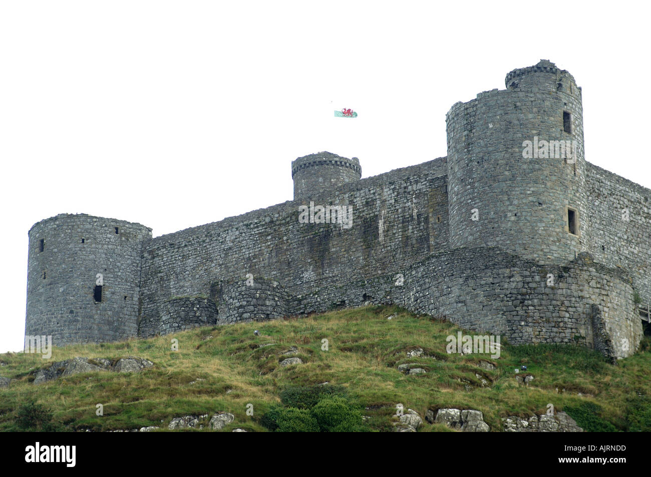 Bendigeidfran hi-res stock photography and images - Alamy