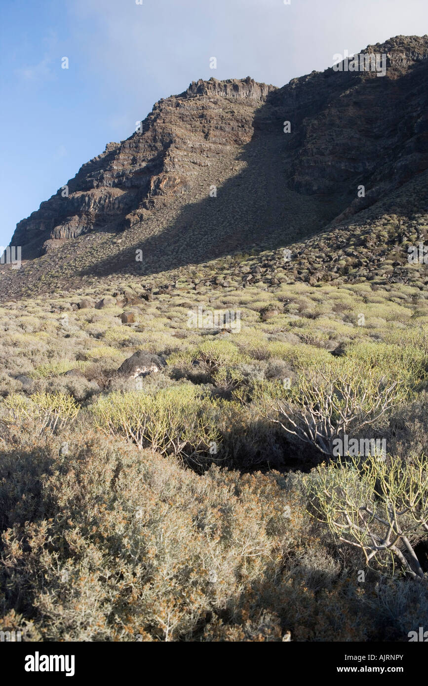 Spain, Canary Islands, El Hierro, View of a typical landscape with ...