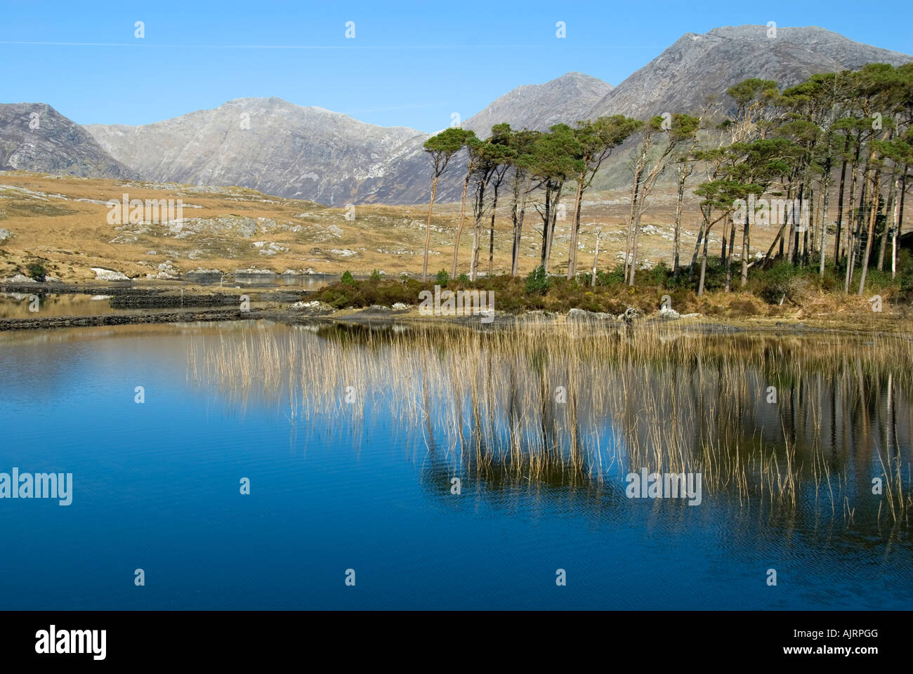The mountains of Connemara from Derryclare Lough, County Galway ...
