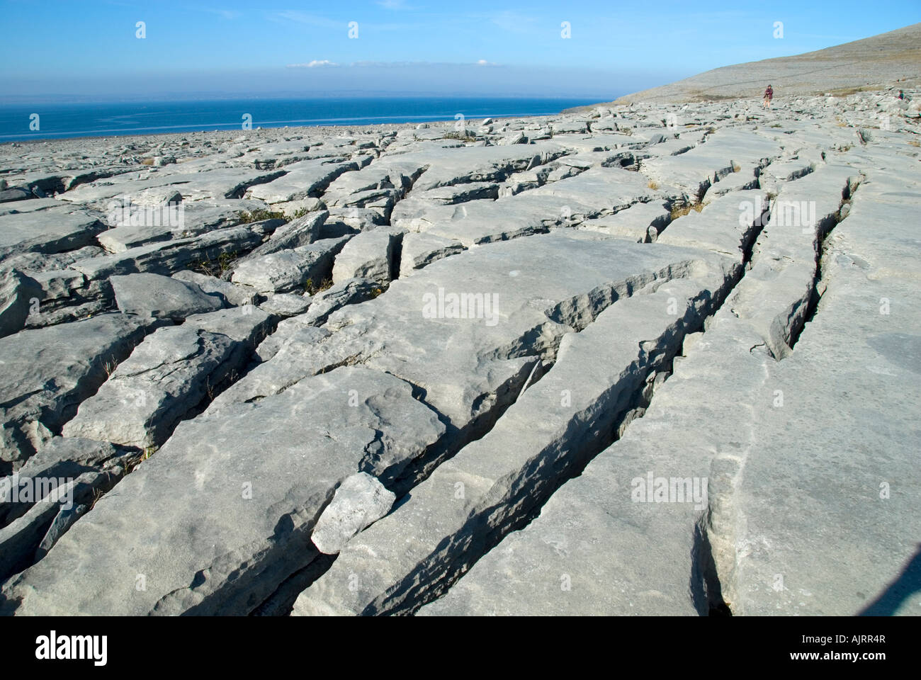 Limestone pavement at the Burren, County Clare, Ireland Stock Photo - Alamy