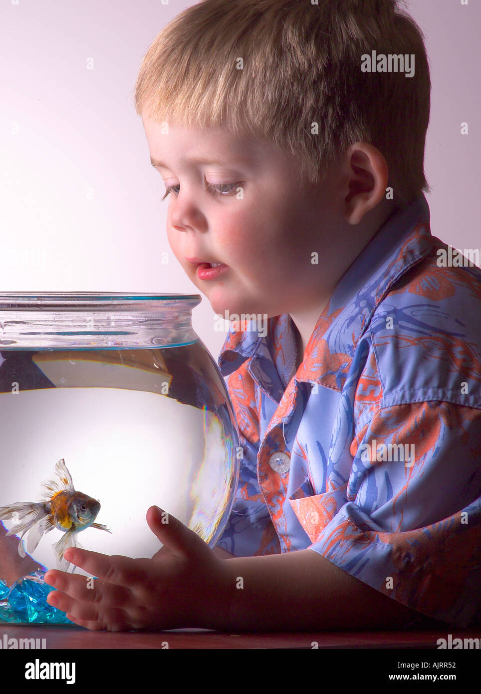 Boy fish bowl hi-res stock photography and images - Alamy