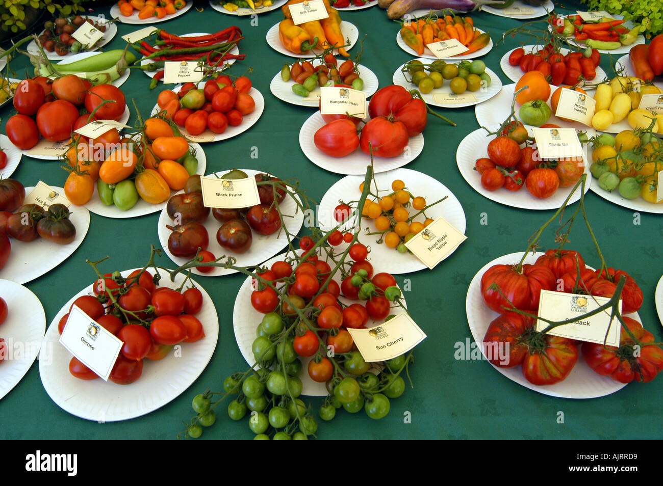 Tomato and peppers on display at Country show Dorchester Dorset England ...