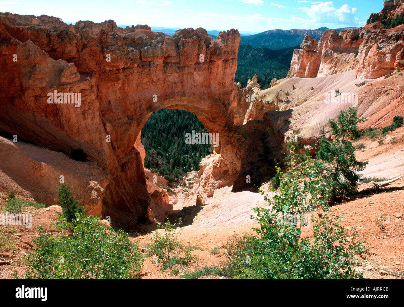 Natural landscape usa hi-res stock photography and images - Alamy