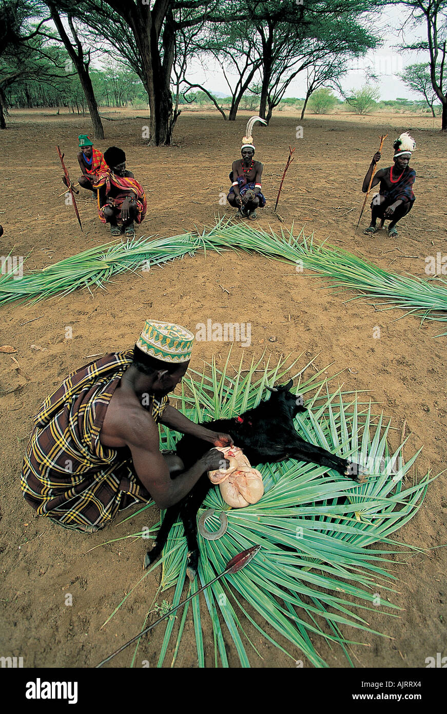 Sacrificing goat for an initiation ceremony, Turkana Kenya Stock Photo ...