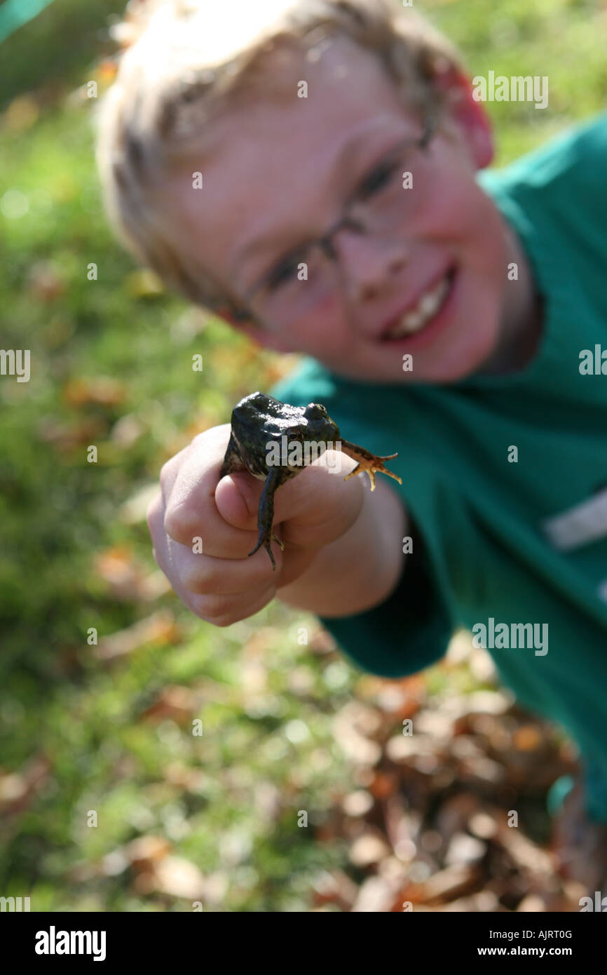 kid holding and playing with a frog Stock Photo - Alamy