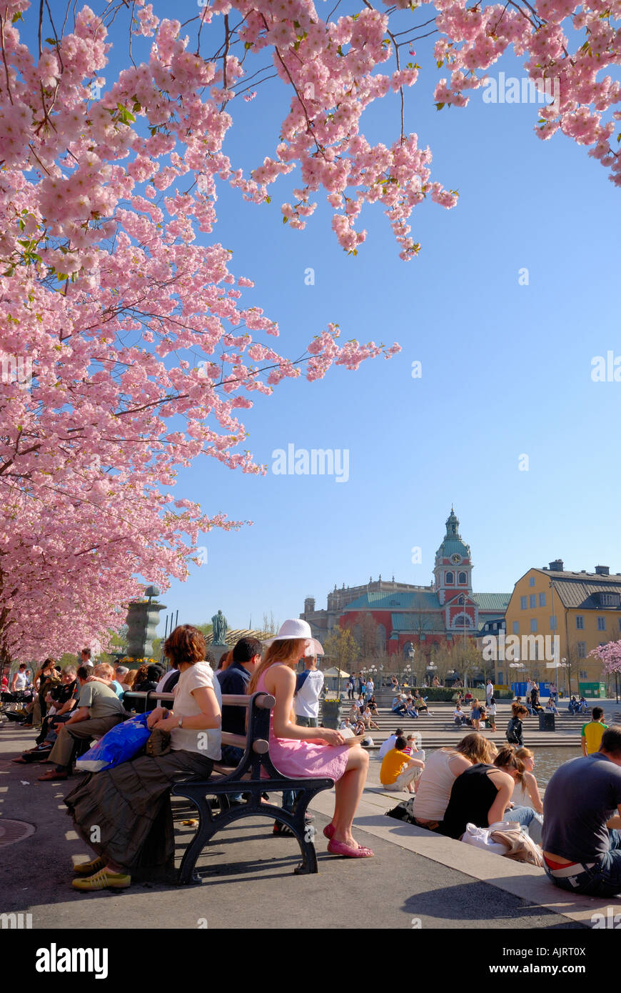People relaxing under the tree hi-res stock photography and images - Alamy