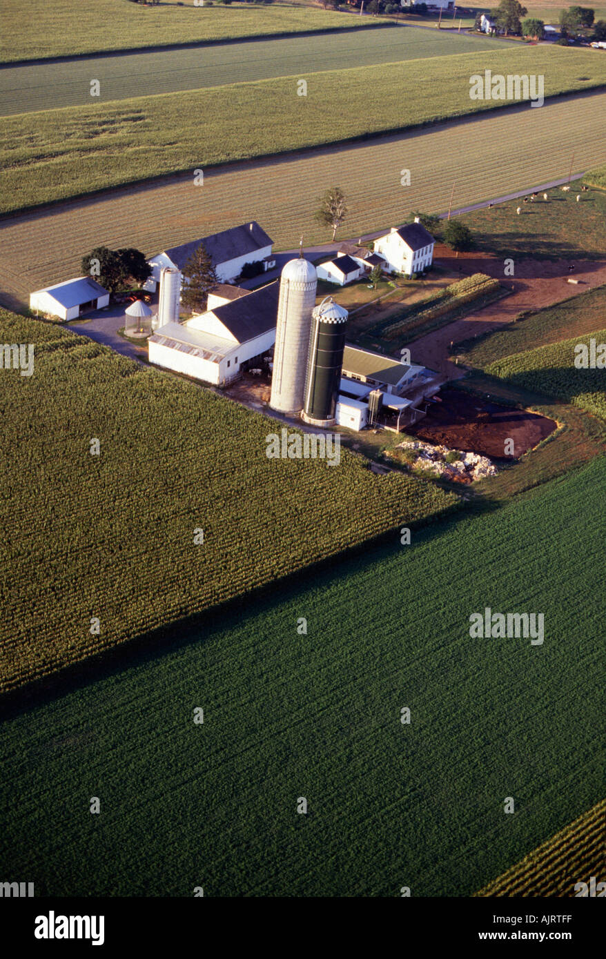 Aerial view of dairy farm surrounded by corn alfalfa and soybean crops ...