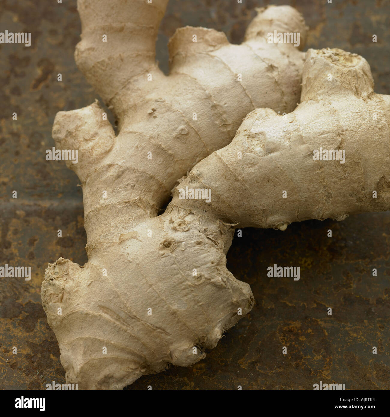 Indian Head Ginger High Resolution Stock Photography and Images - Alamy
