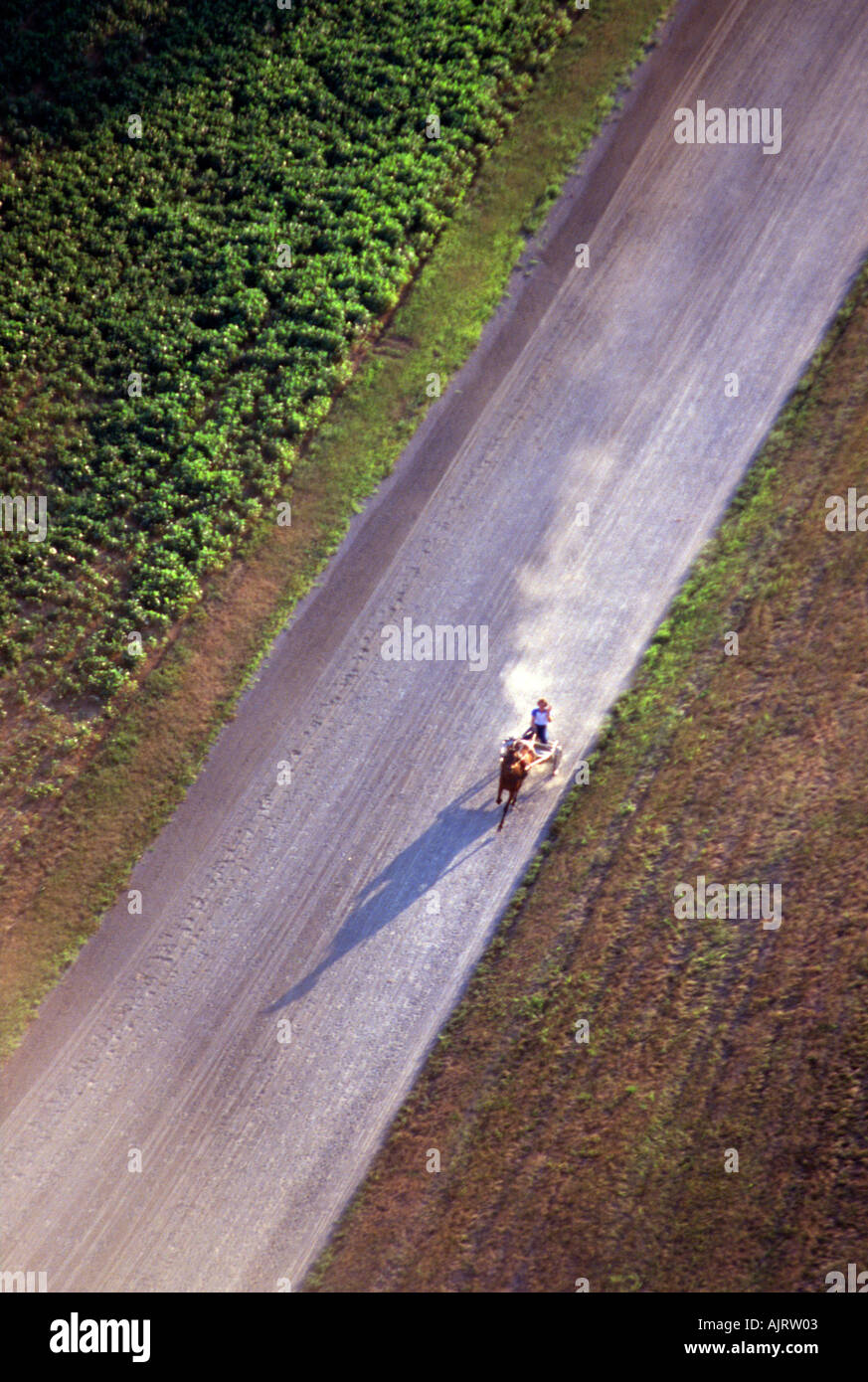 Aerial view race horse in hi-res stock photography and images - Alamy
