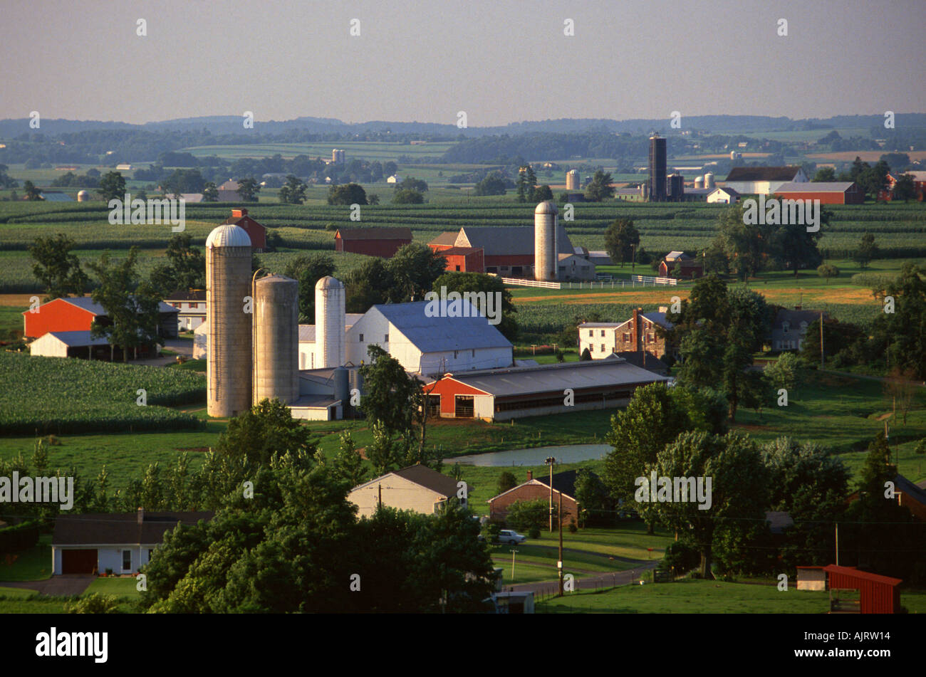 High density community of dairy farms surrounded by corn soybean and ...