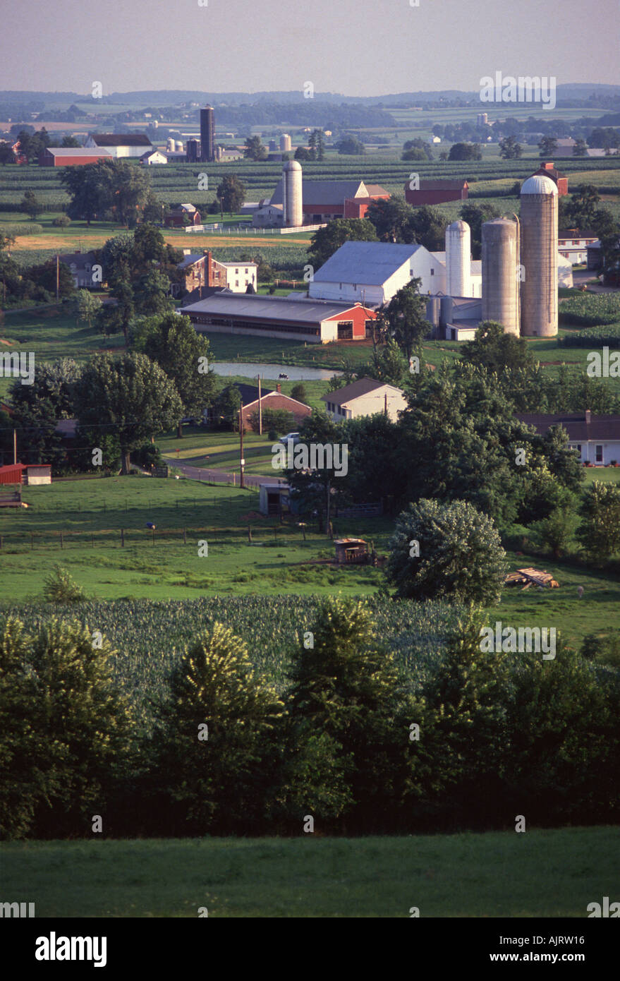 High density farming hi-res stock photography and images - Alamy