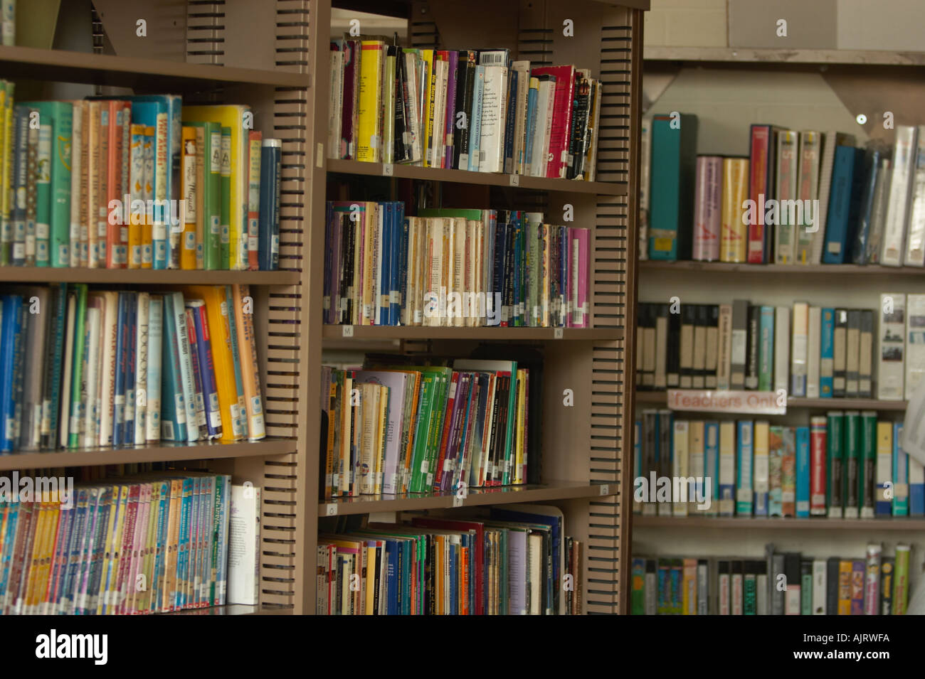 Elementary School Library Shelves