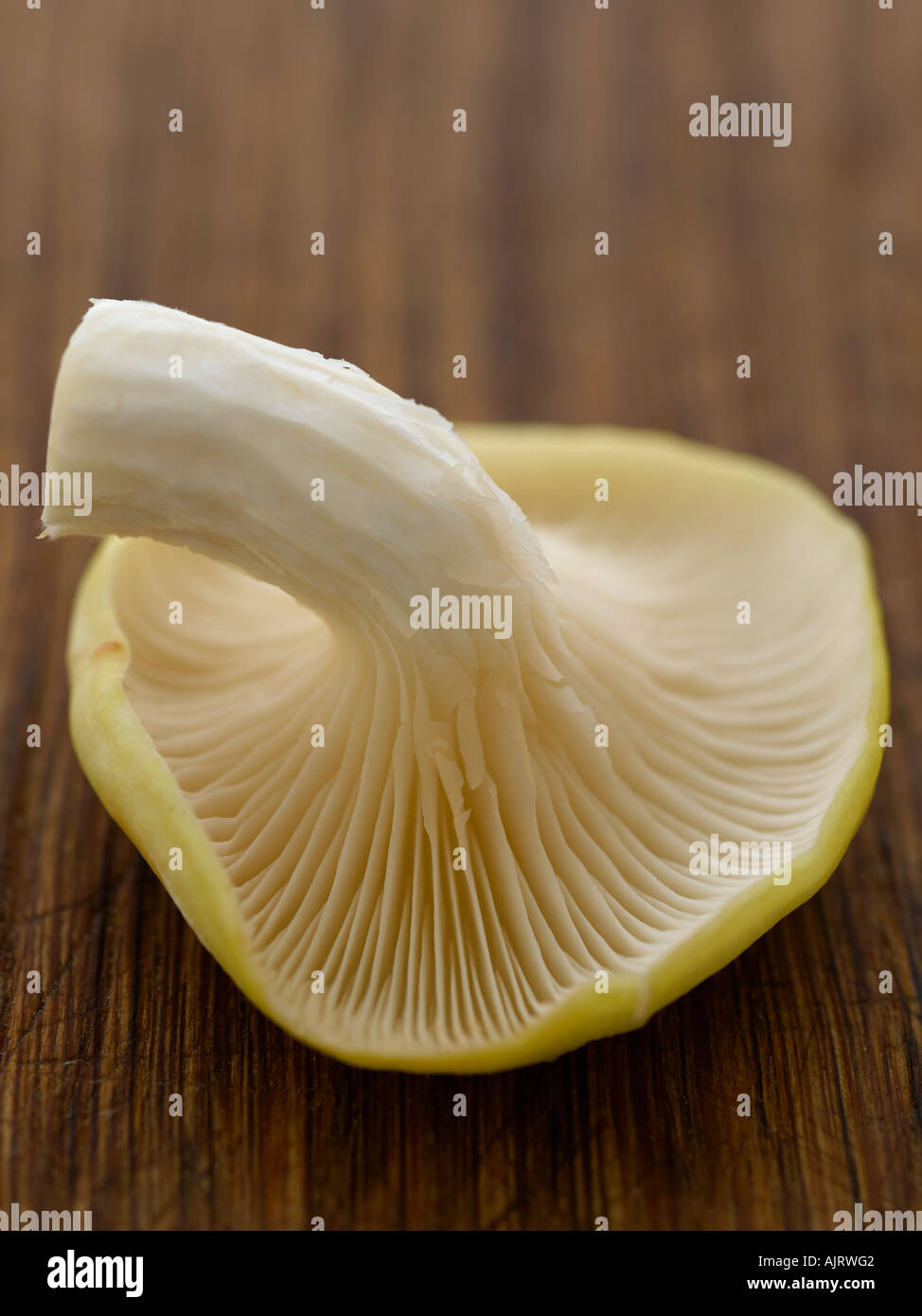 Chinese funghi hi-res stock photography and images - Alamy