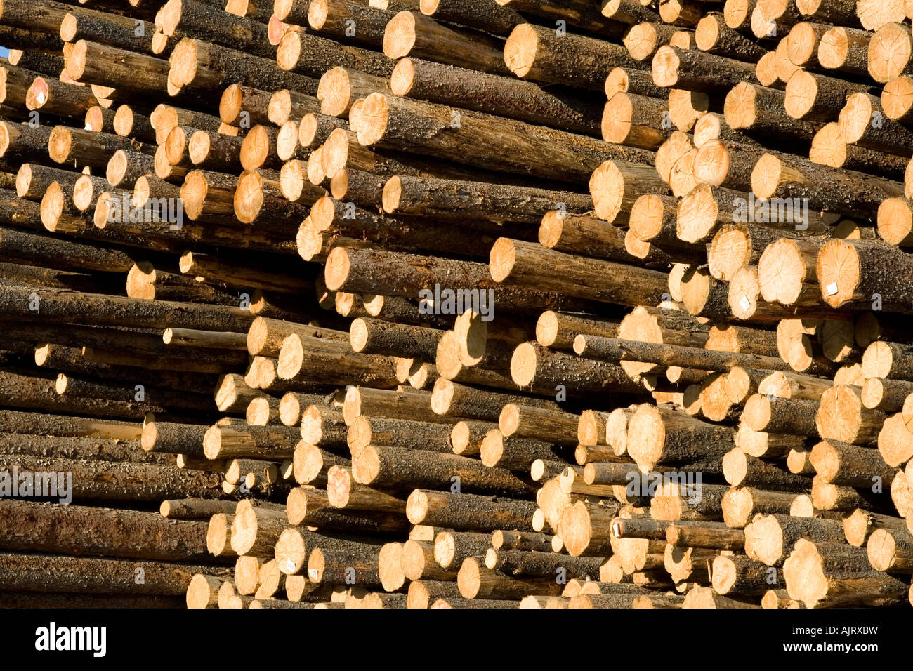 Canadian lumber hi-res stock photography and images - Alamy