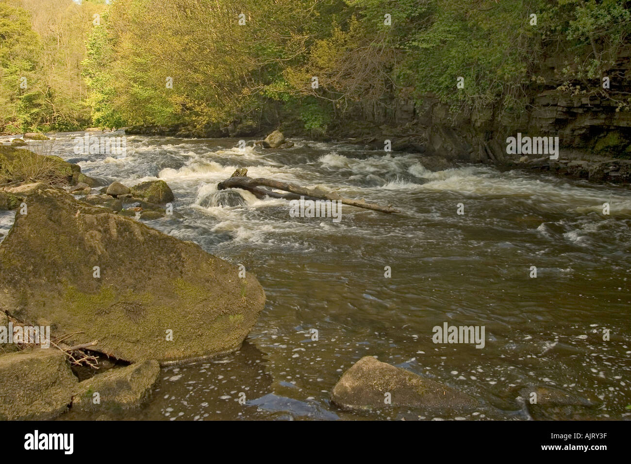 fast flowing river Stock Photo - Alamy