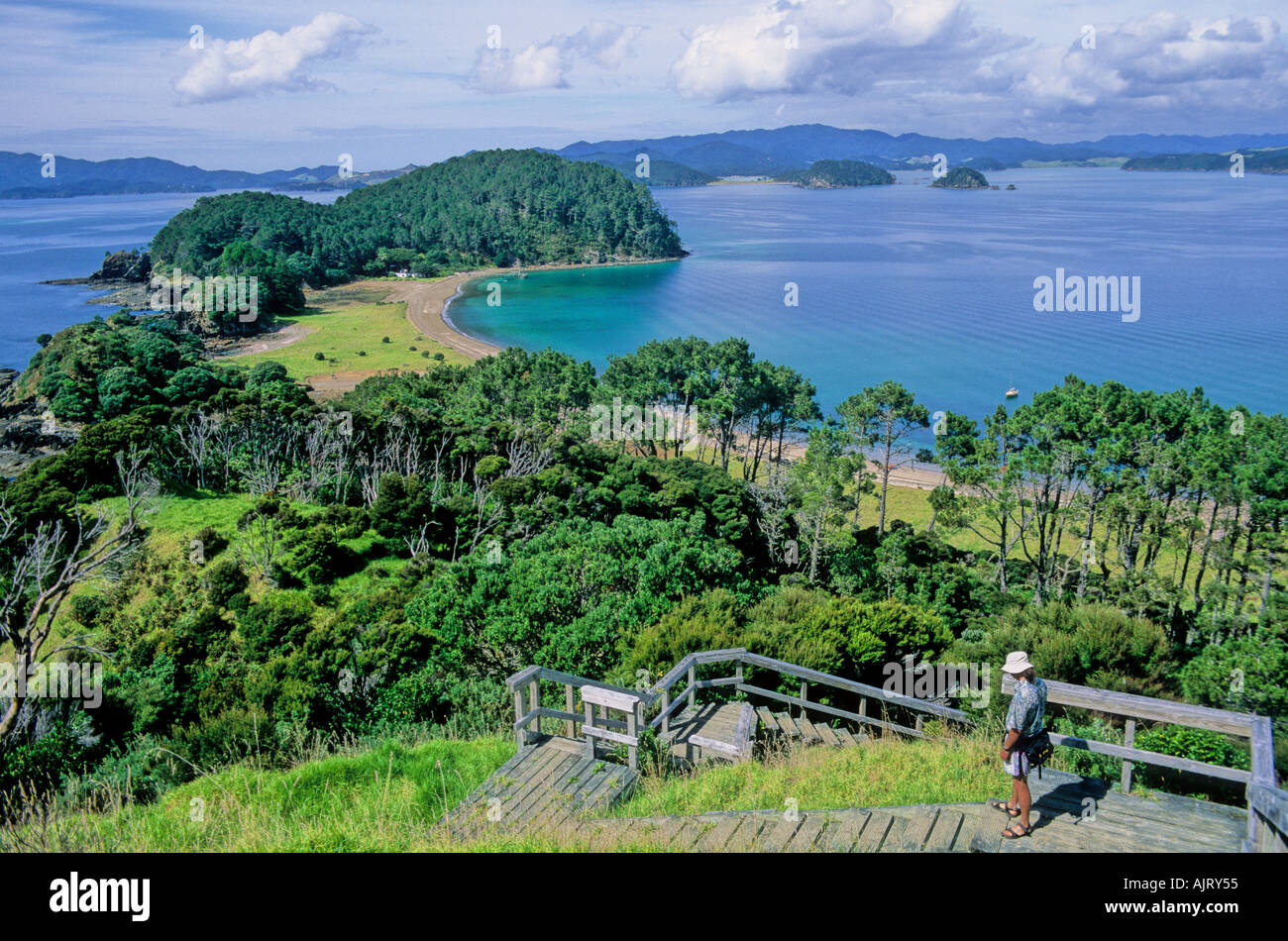 Tourist at viewpoint on Roberton Island Bay of Islands New Zealand ...