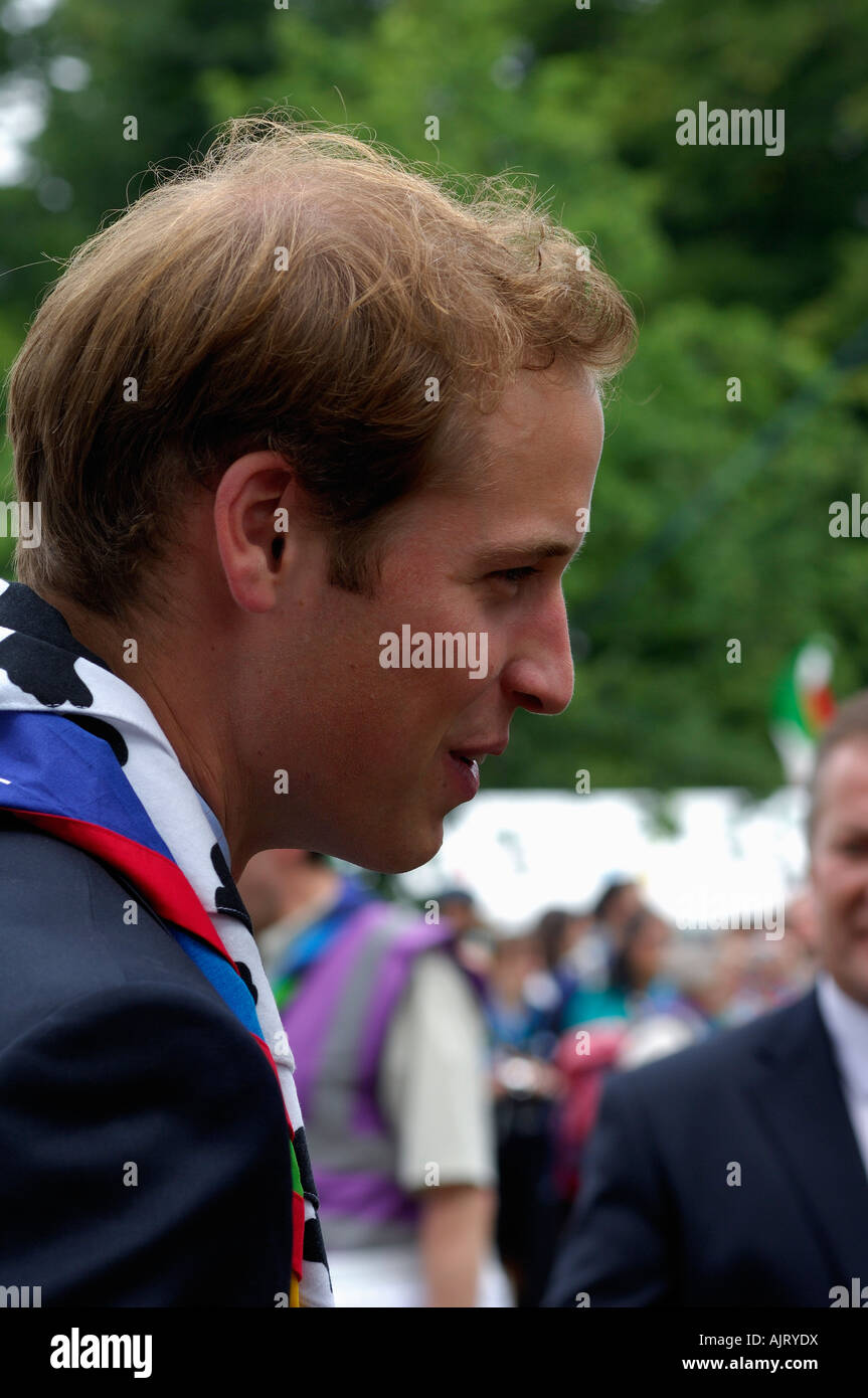 Prince william of baden hi-res stock photography and images - Alamy
