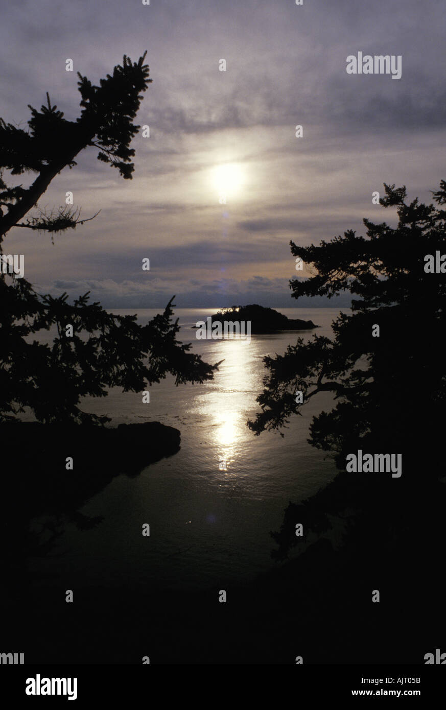 Sunset b the trees hi-res stock photography and images - Alamy