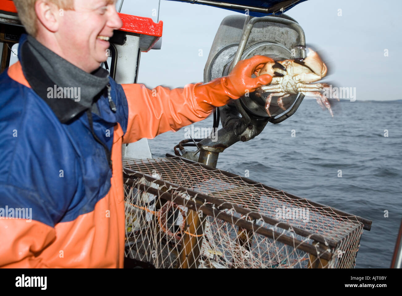 Fisherman throwing stray catch back in the sea. Crabs are often caught ...