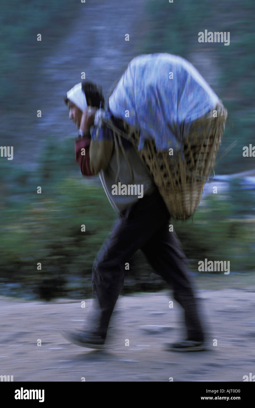 Man carrying heavy basket along path Stock Photo - Alamy