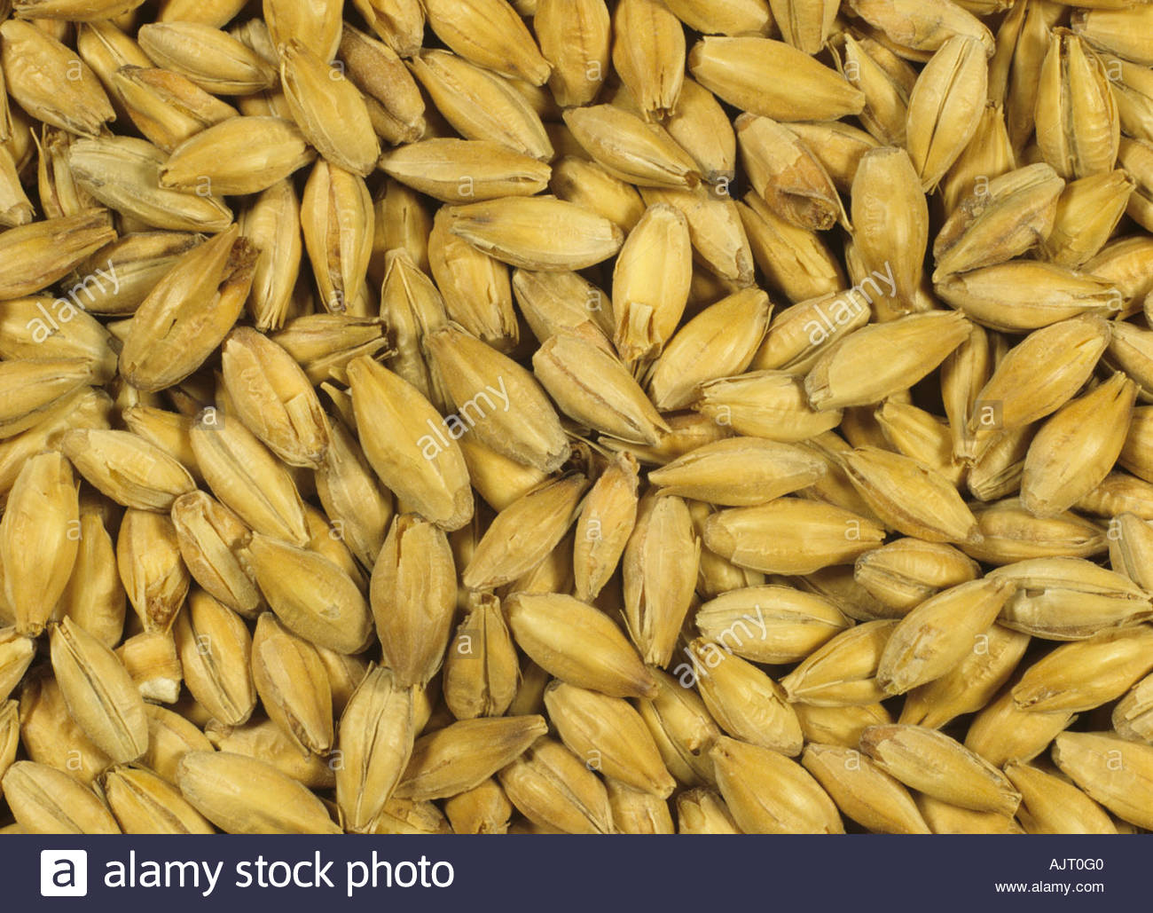 Malt Kiln Stock Photos & Malt Kiln Stock Images - Alamy